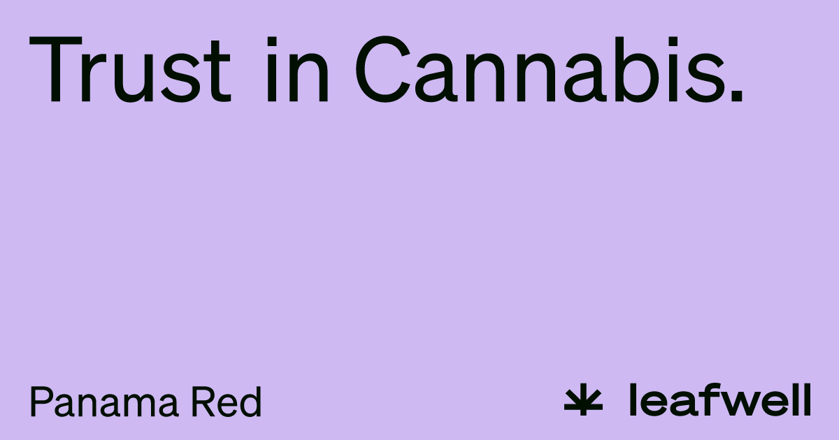 Panama Red Marijuana Strain - Leafwell